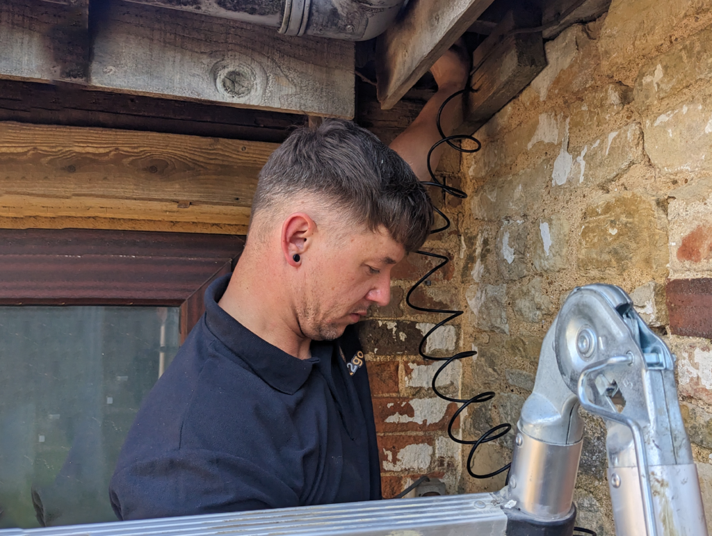 Bird Control Northampton | Humane & Effective Pest2Go Services